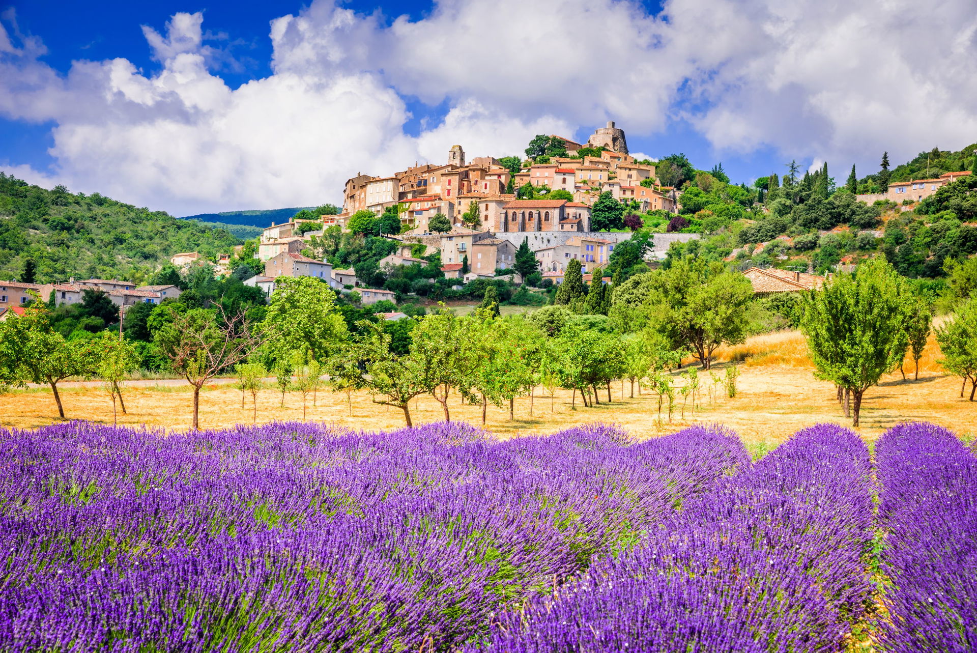 Peaceful Provence | LuxGive