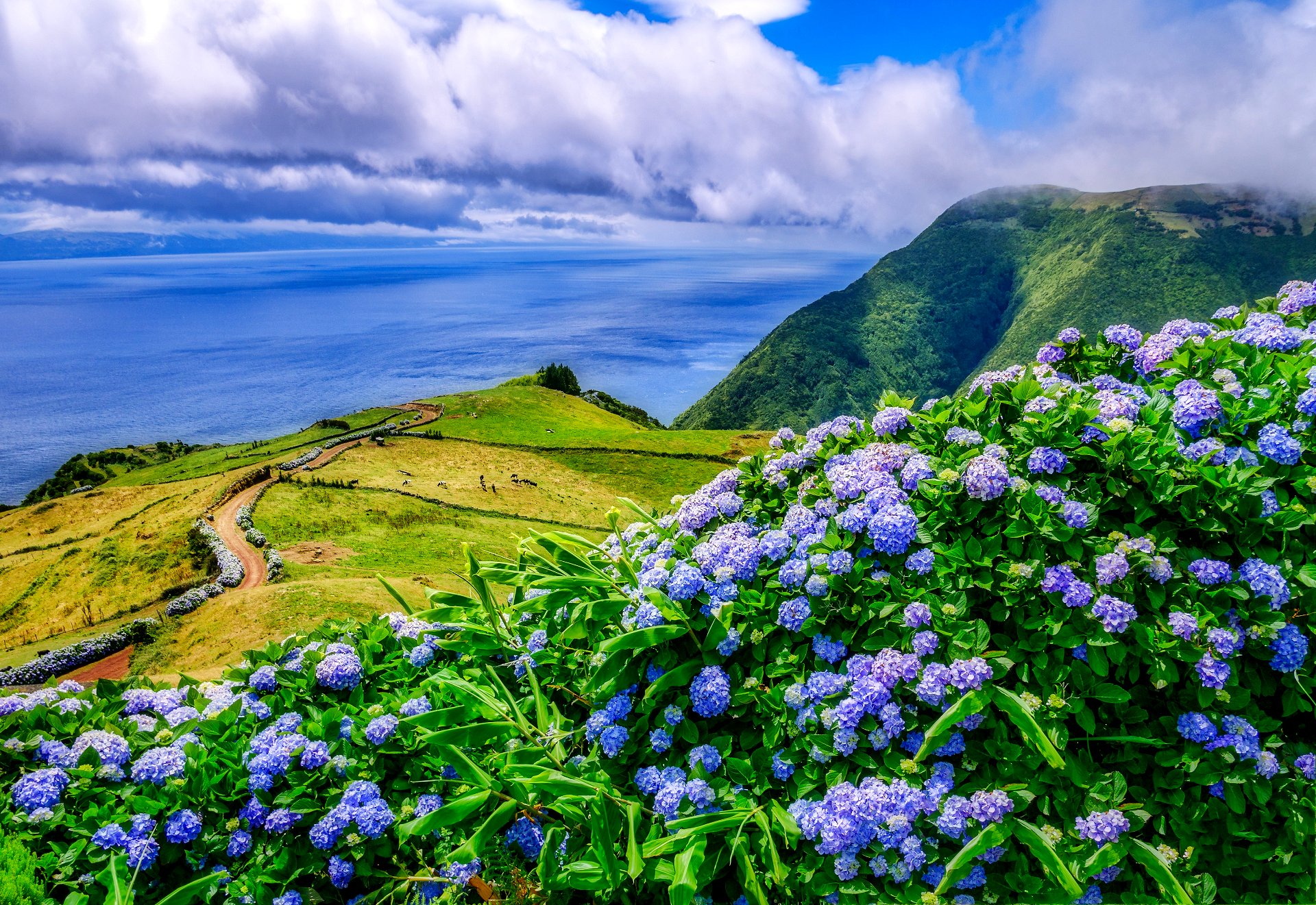 Azure Azores | LuxGive